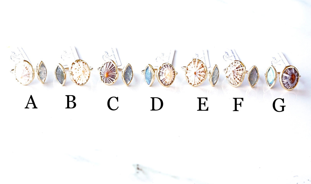 Solid Gold ‘Kaikaina’ Opihi Ring LP – Rise Hawaii