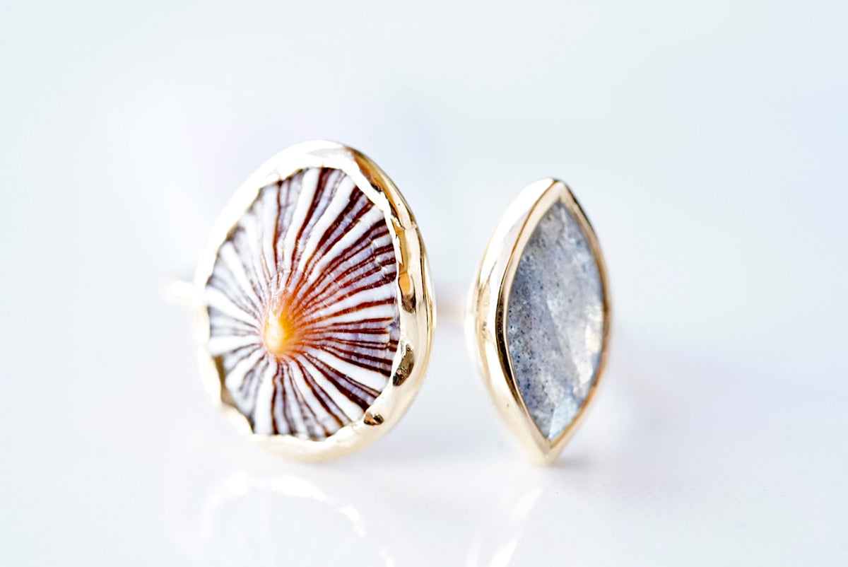 Solid Gold ‘Kaikaina’ Opihi and Gemstone Ring – Rise Hawaii